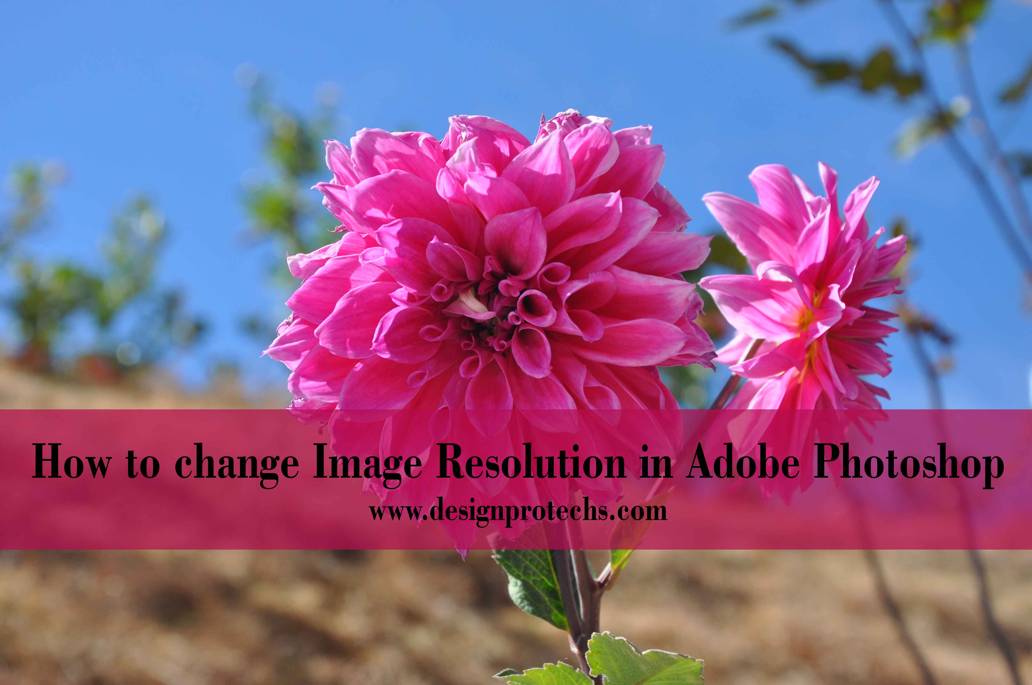 Changer R solution Photoshop How To Change DPI In Photoshop To Print 