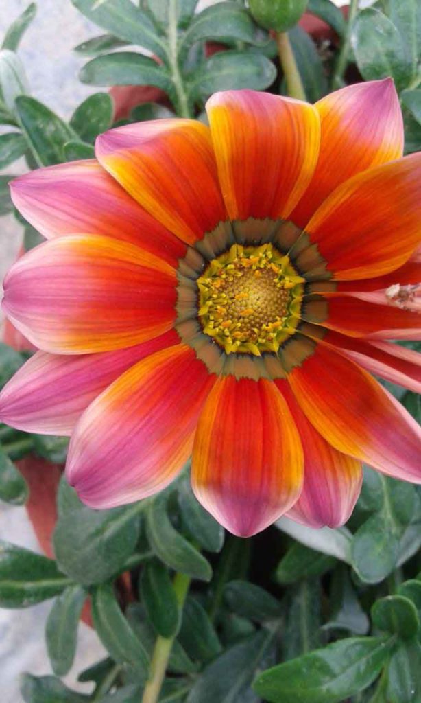 Color Modes in Adobe Photoshop - Designprotechs